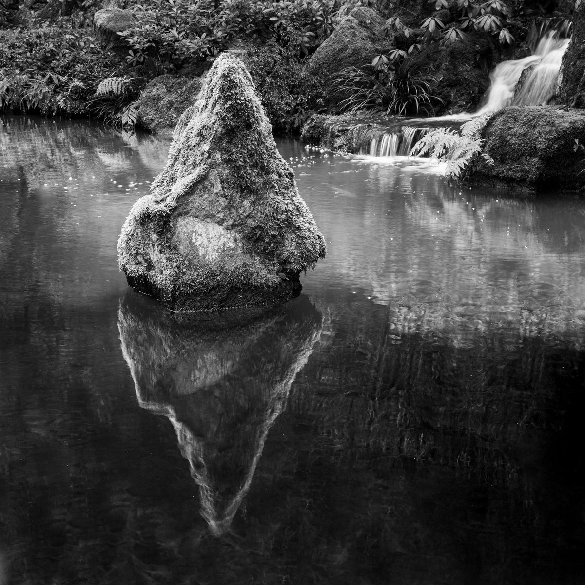 Pyramid Rock and Koi - Landscape Critiques - Nature Photographers Network