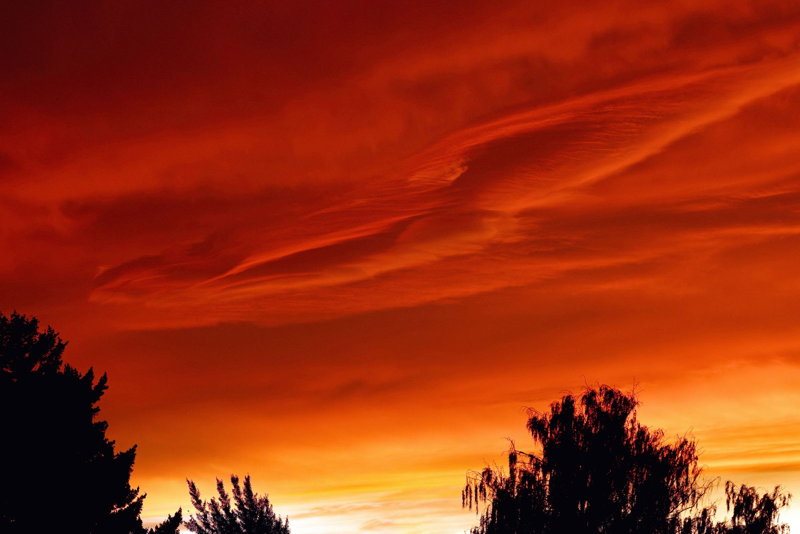 2025showcase - Weekly Challenge - Nature Photographers Network